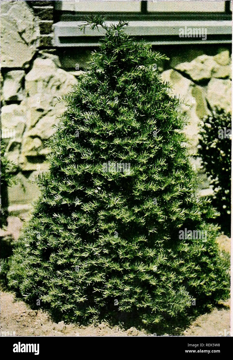 Larger conical shape hi-res stock photography and images - Alamy