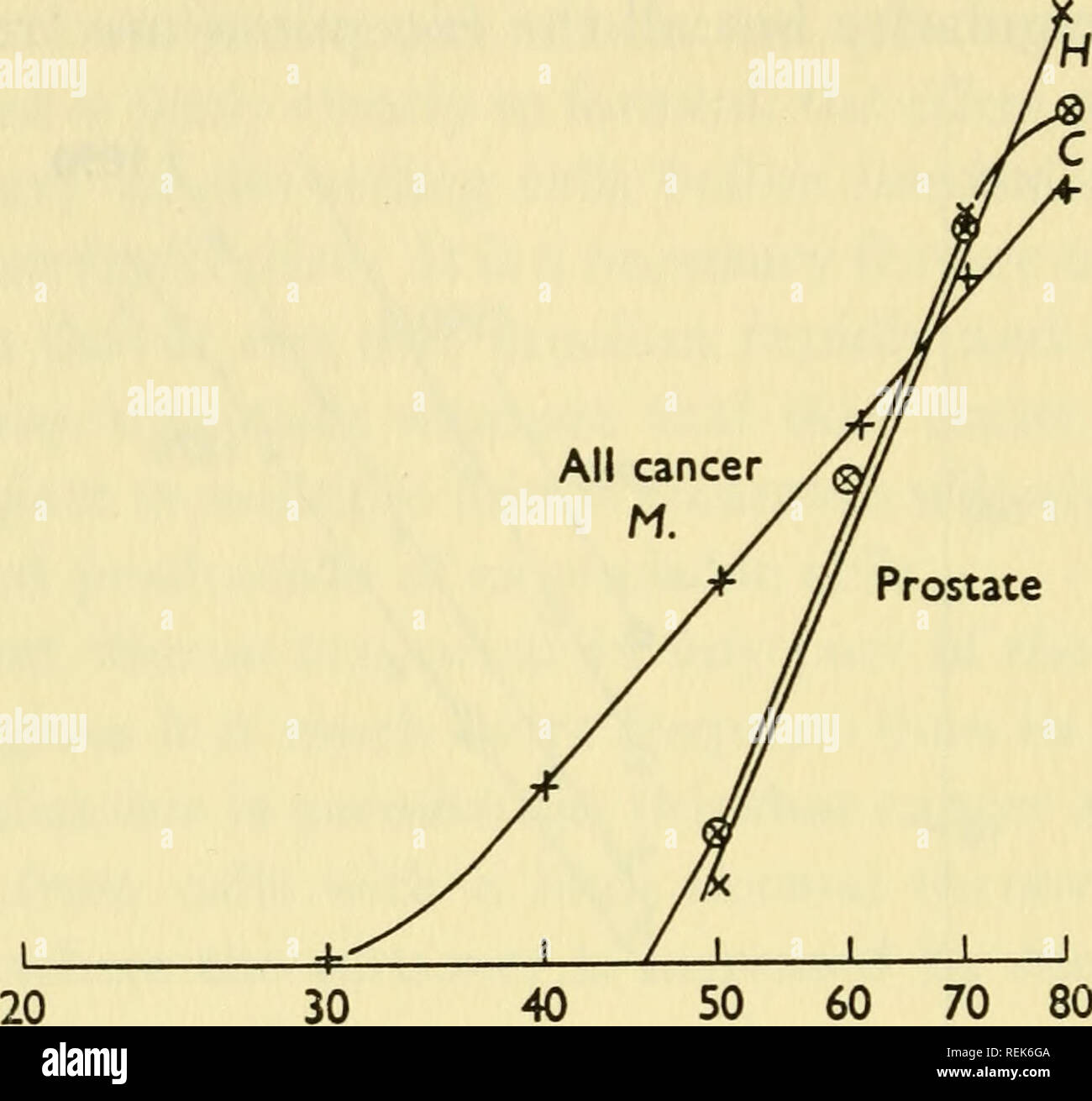 Clonal Selection Theory High Resolution Stock Photography and Images ...