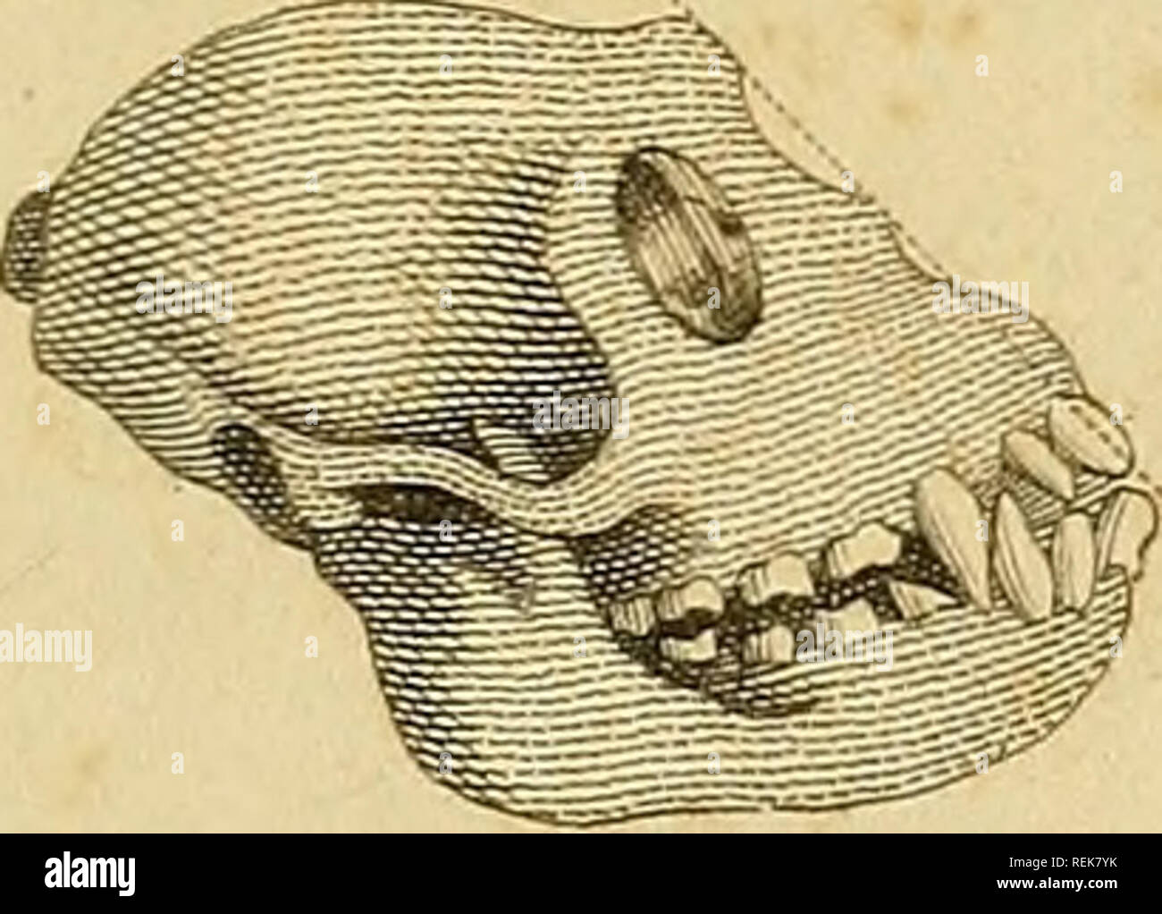 Thomas b griffith High Resolution Stock Photography and Images - Alamy