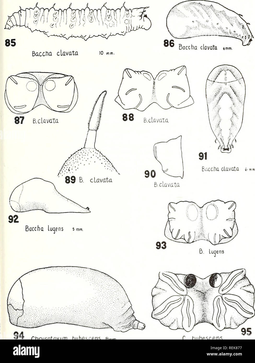 125 x 125 x 8mm hi-res stock photography and images - Alamy