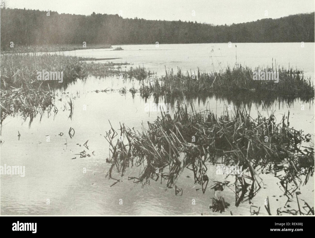 Lacustrine soil hi-res stock photography and images - Alamy