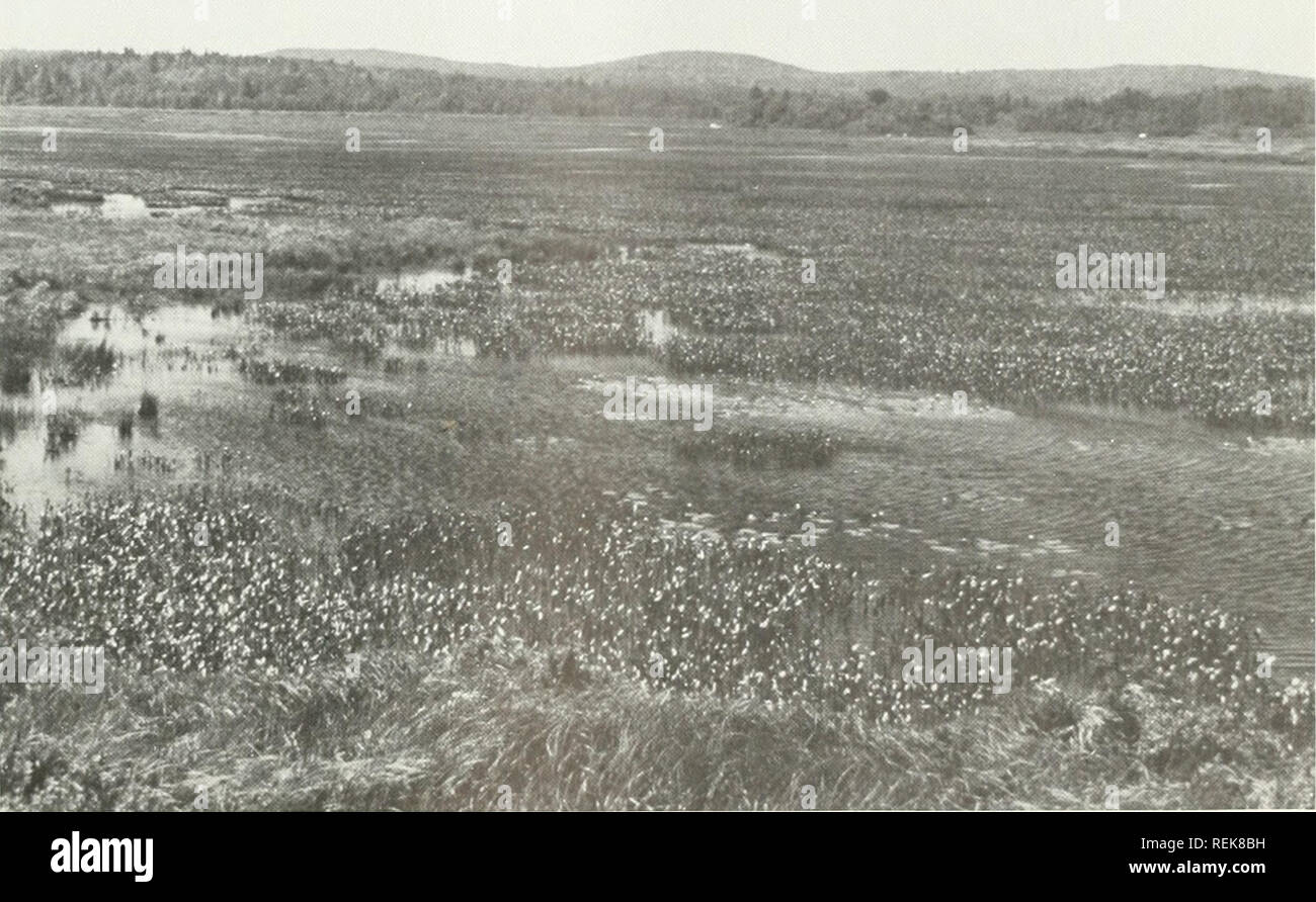 Lacustrine soil hi-res stock photography and images - Alamy