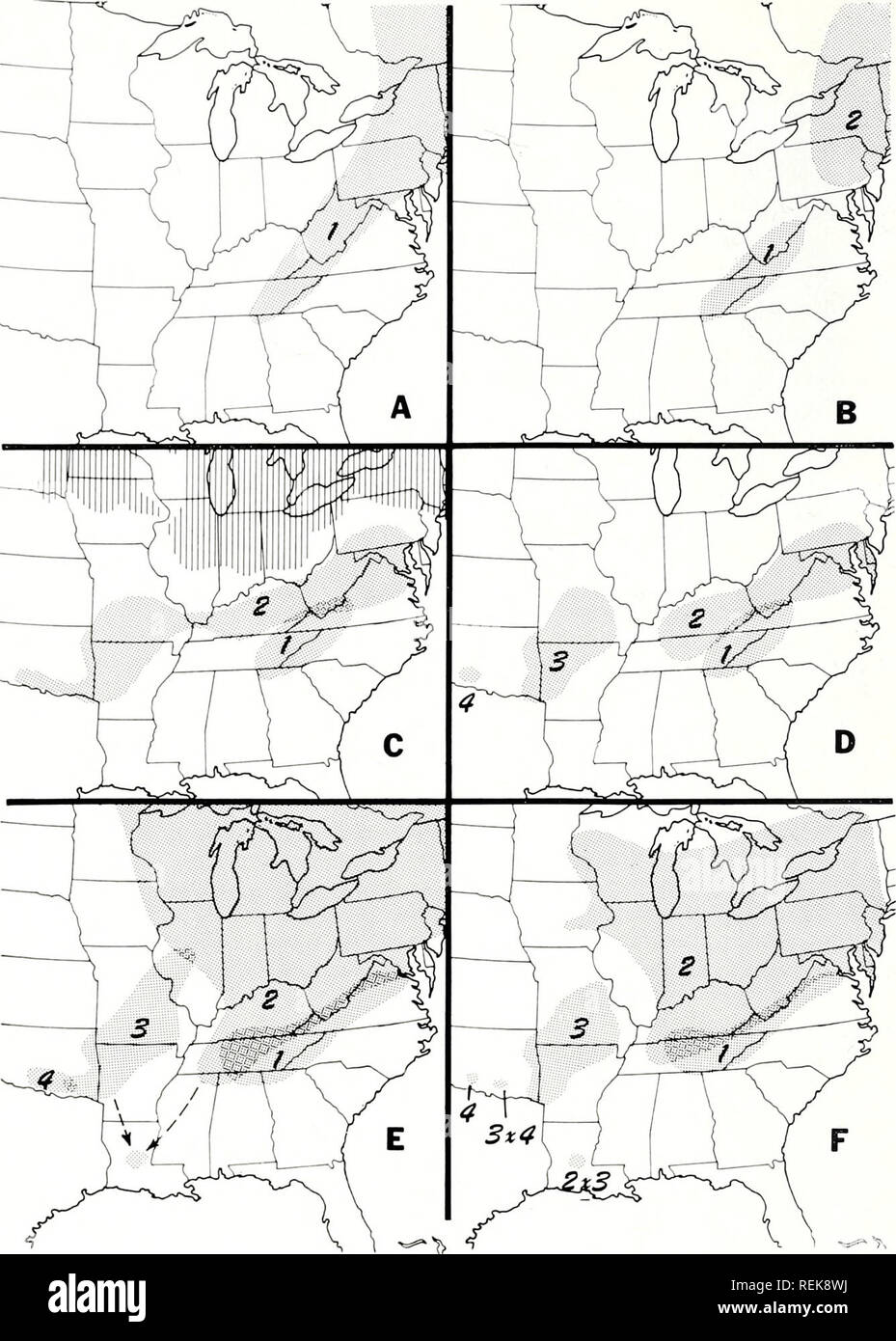 Four stages of classification hi-res stock photography and images - Alamy