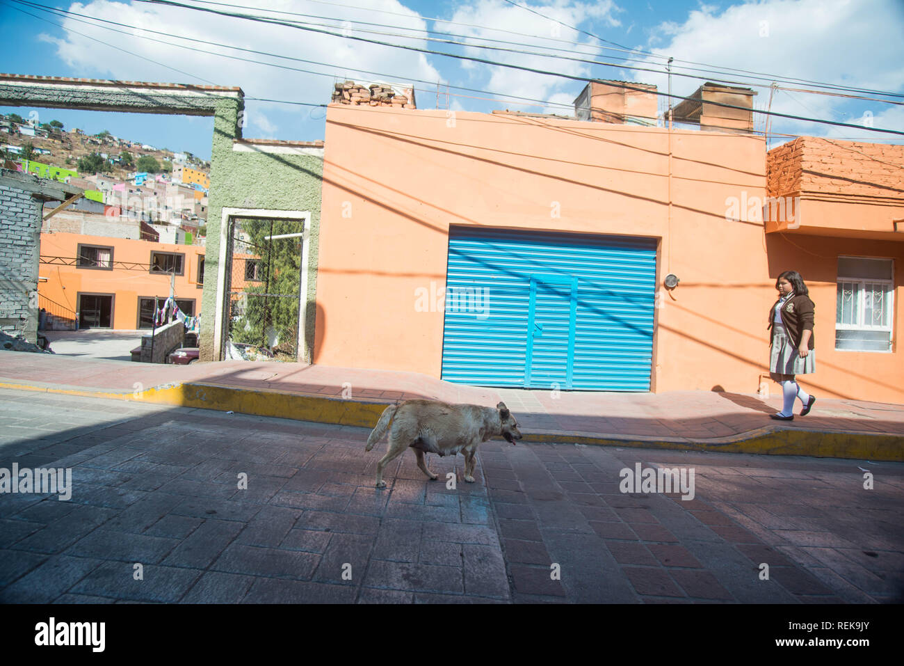 Guanajuato, Mexico Midday in sun with shadows. A girl and a dog walk in ...