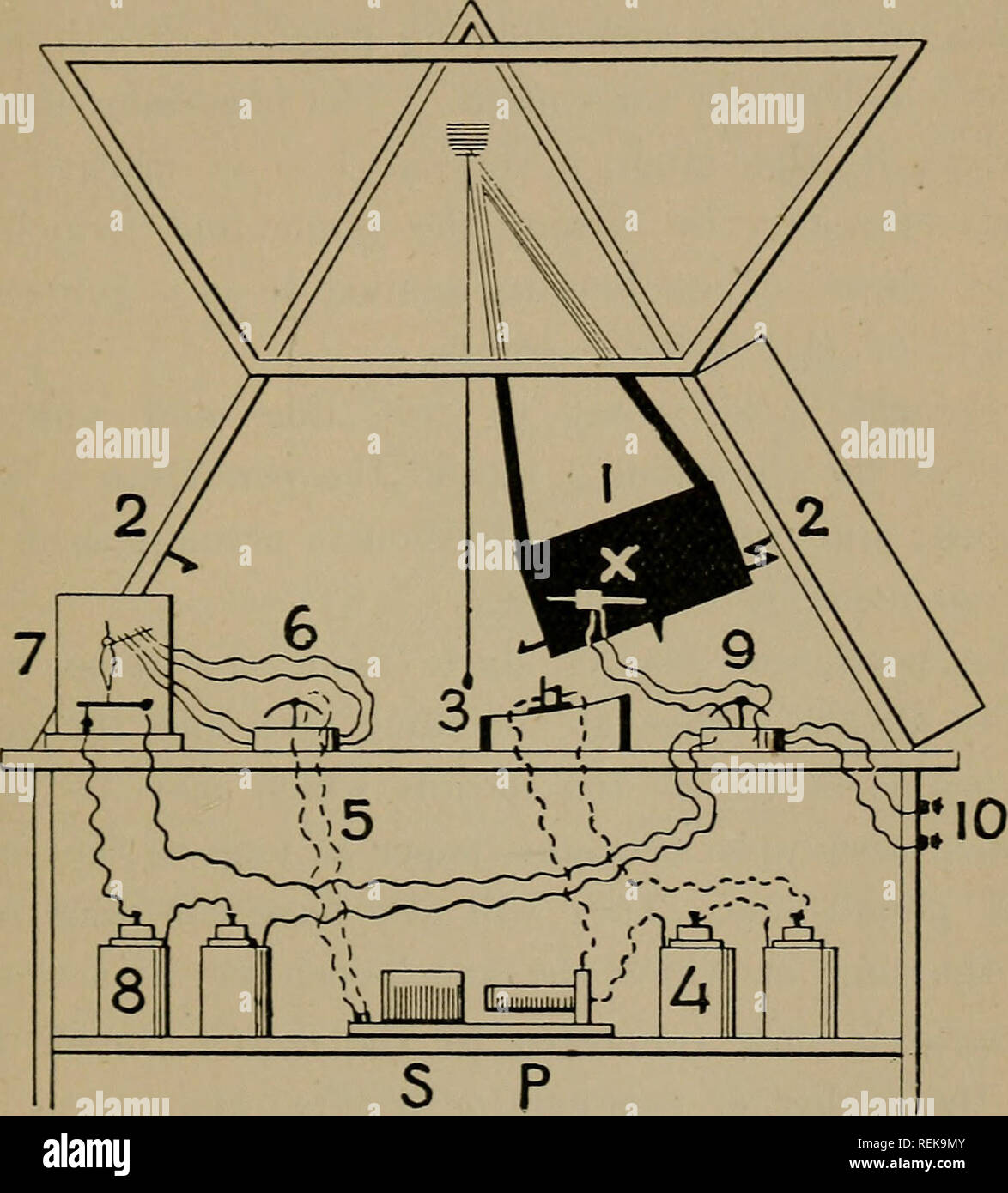 . A class book of (elementary) practical physiology : including ...