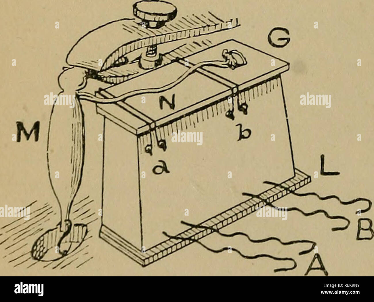 Nerve conduction hi-res stock photography and images - Alamy