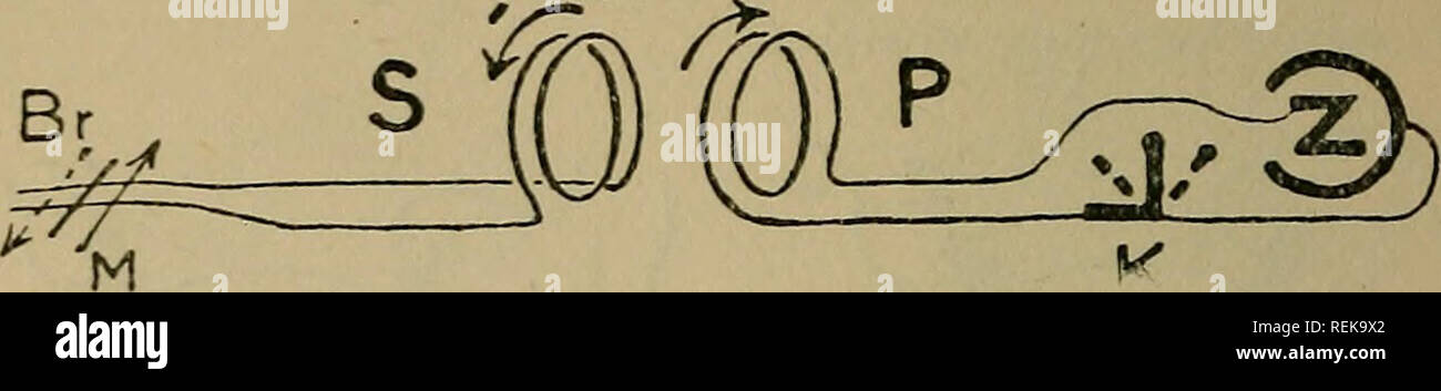 . A class book of (elementary) practical physiology : including ...