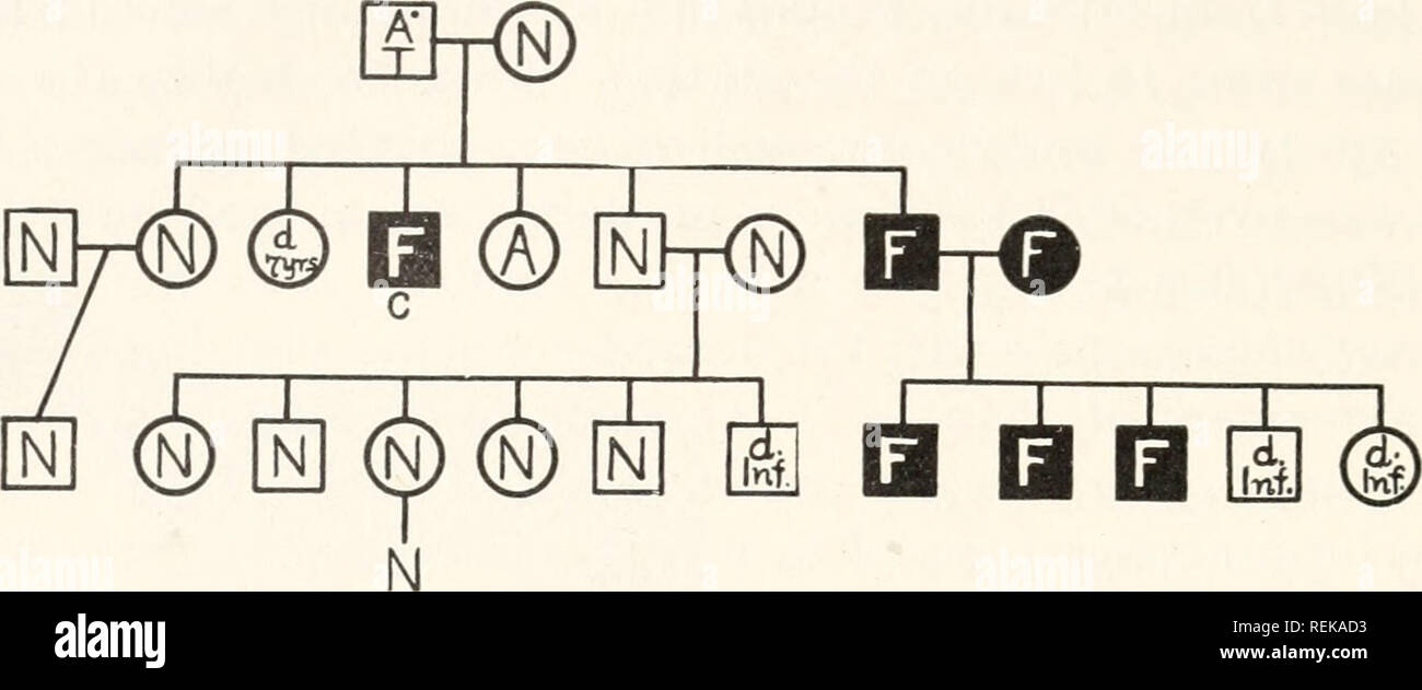 Heredity Family Paternally Inherited Mitochondrial DNA: New Findings