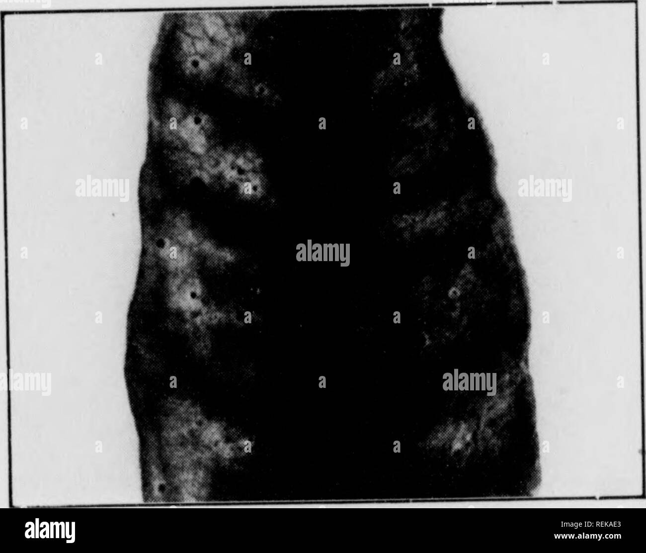 Compact marl Black and White Stock Photos & Images - Alamy