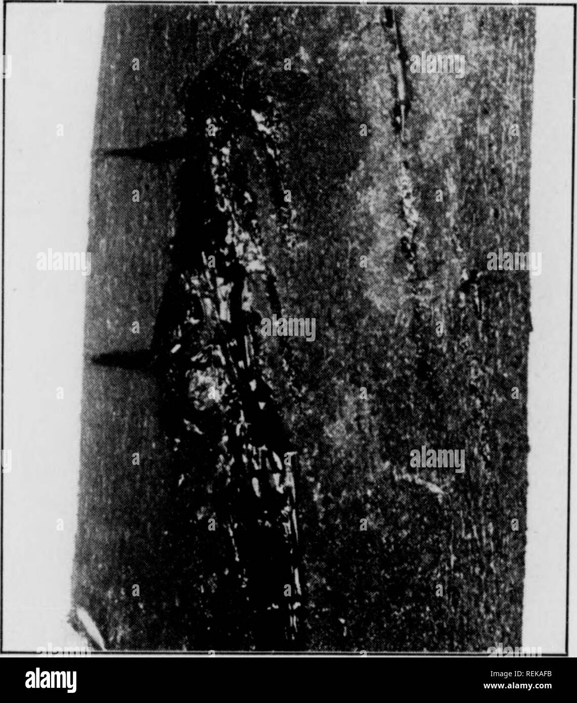 Ragged margin Black and White Stock Photos & Images - Alamy