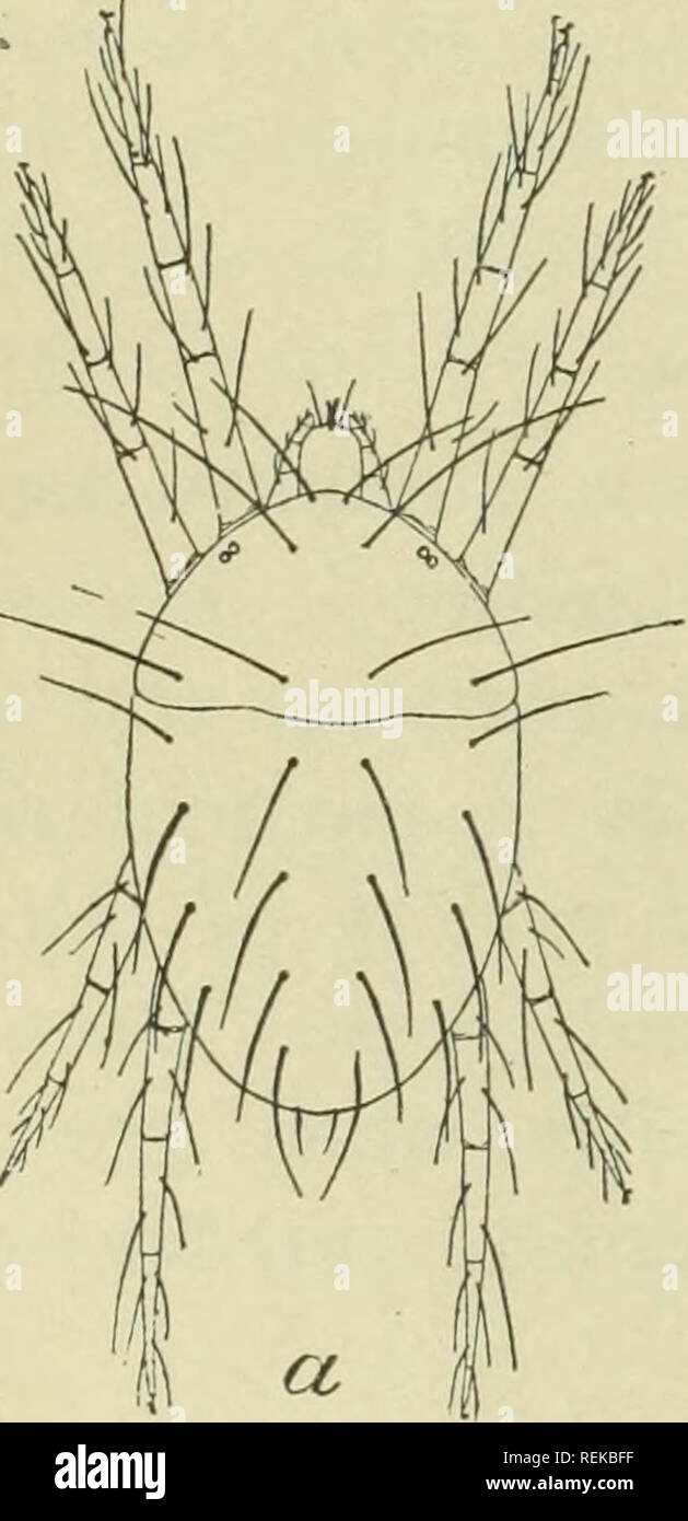 Are shown within the figure as well hi-res stock photography and images ...