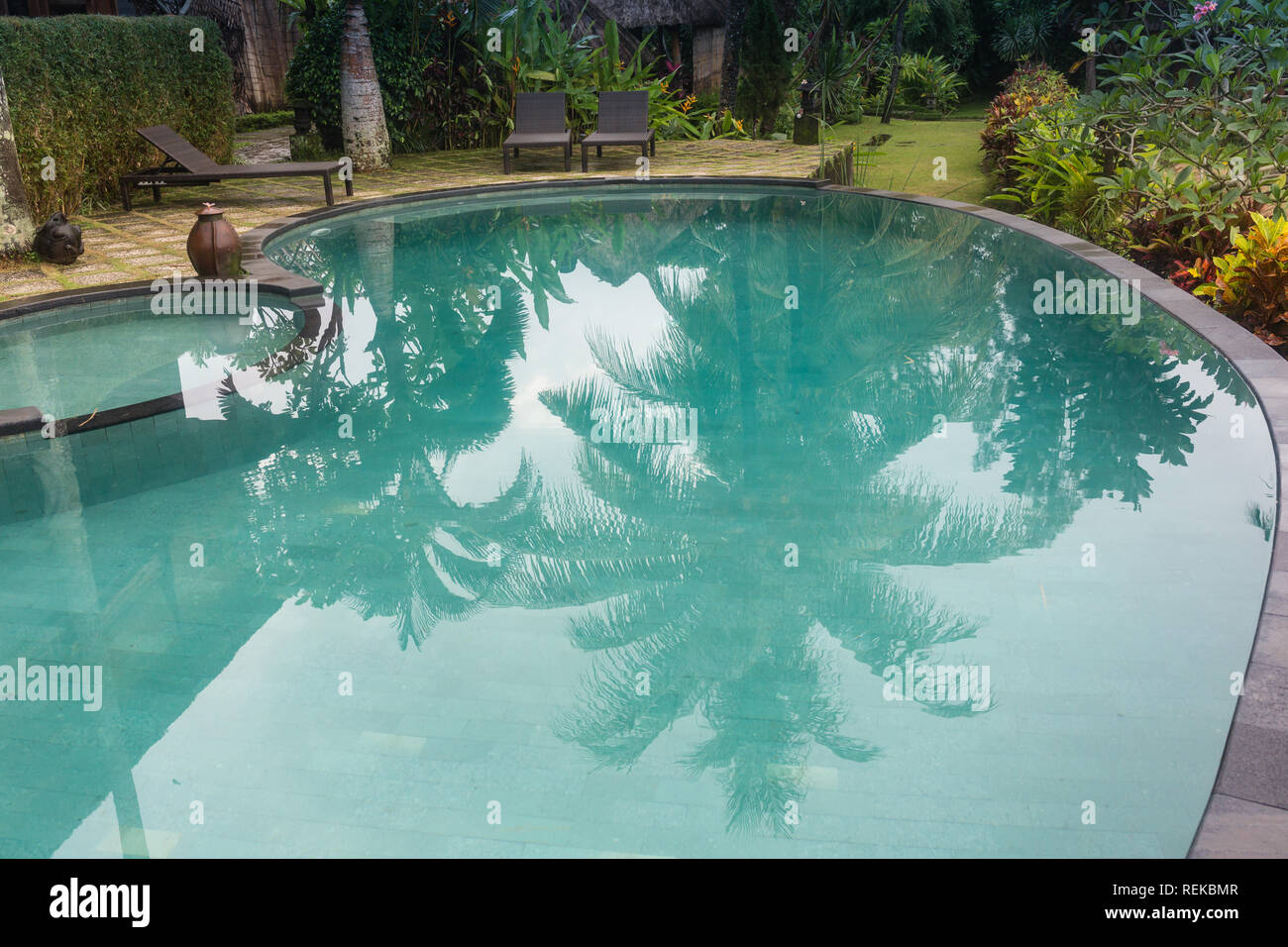 Sugar palm tree hi-res stock photography and images - Alamy