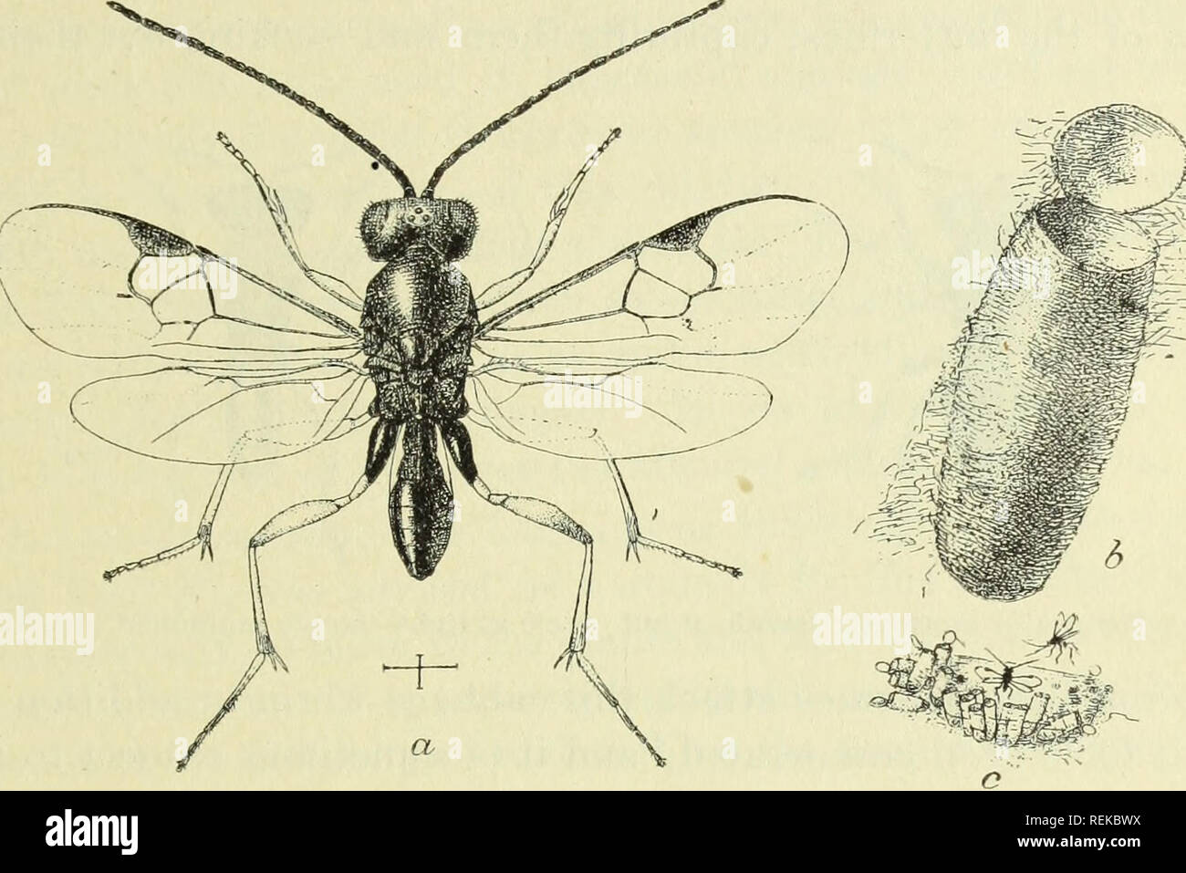 . Circular. Insects. 5 must be one or more additional generations, and ...