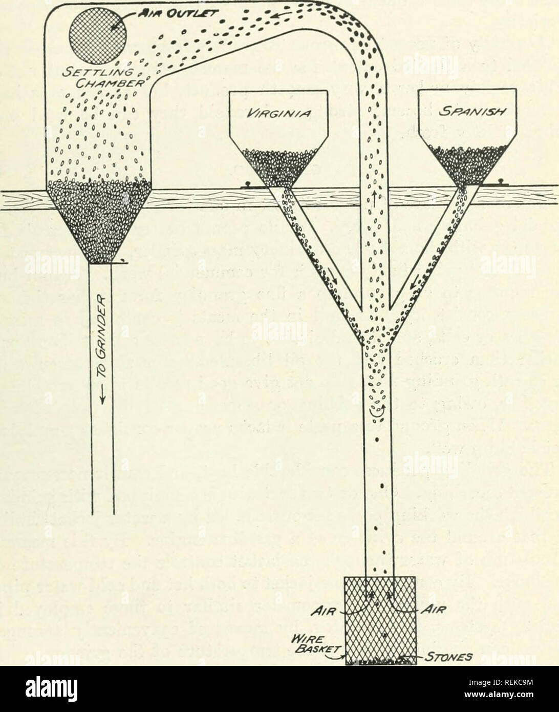 . Circular. Agriculture; Agriculture -- United States. PEANUT BUTTER ...