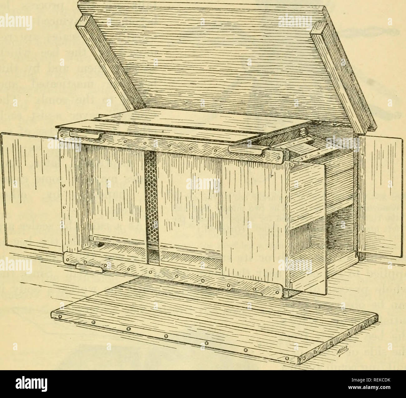 Fig wax scale hi-res stock photography and images - Alamy