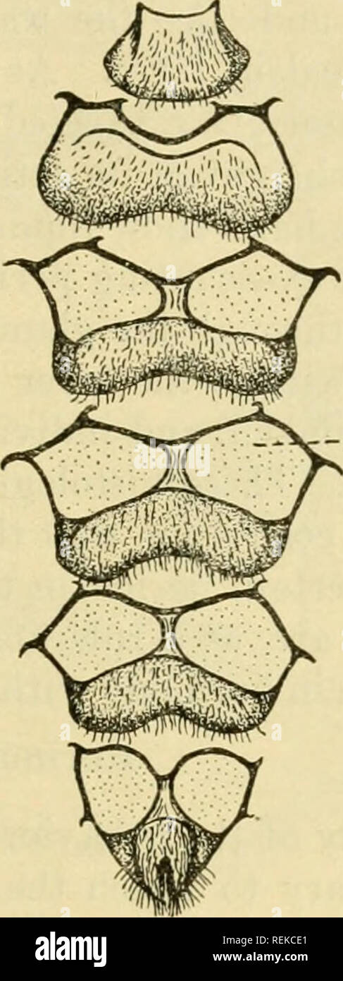 Snod grass hi-res stock photography and images - Alamy