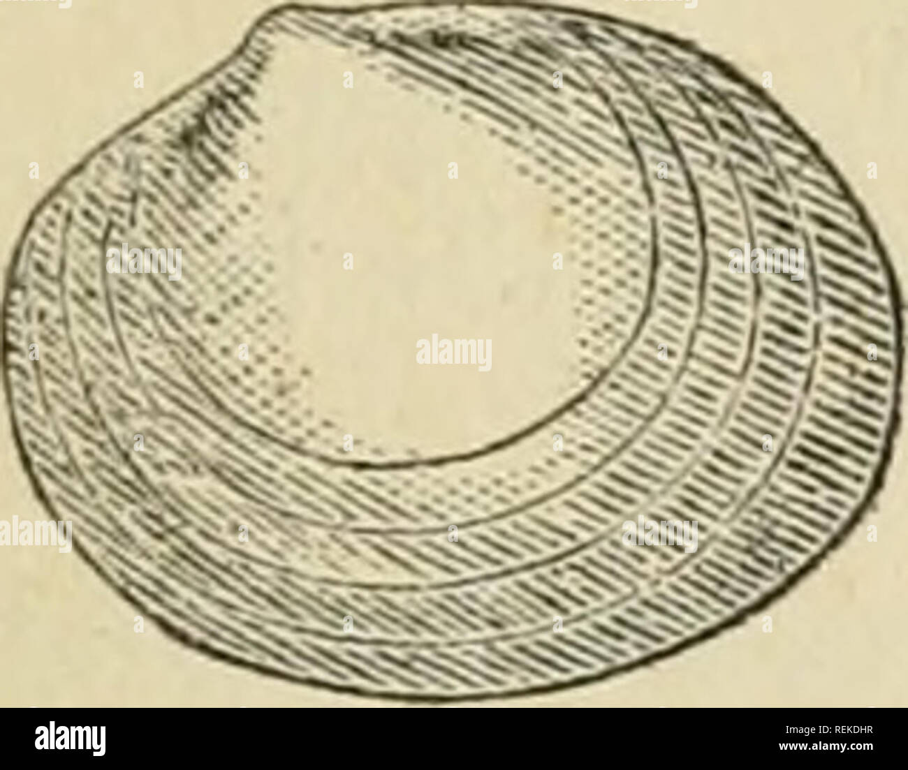 . Cincinnati quarterly journal of science. Science; Science -- Ohio ...