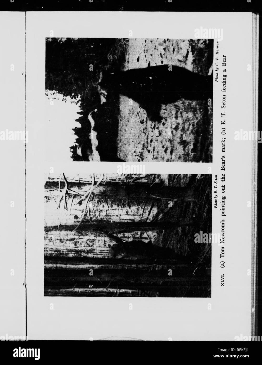 Images animaux Black and White Stock Photos & Images - Alamy