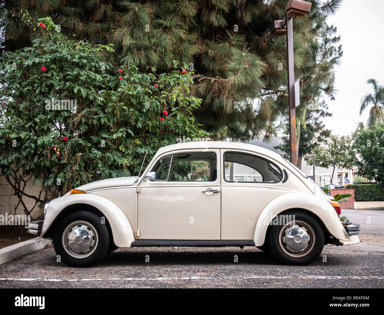 Vw Beetle 1950s Stock Photos & Vw Beetle 1950s Stock Images - Alamy