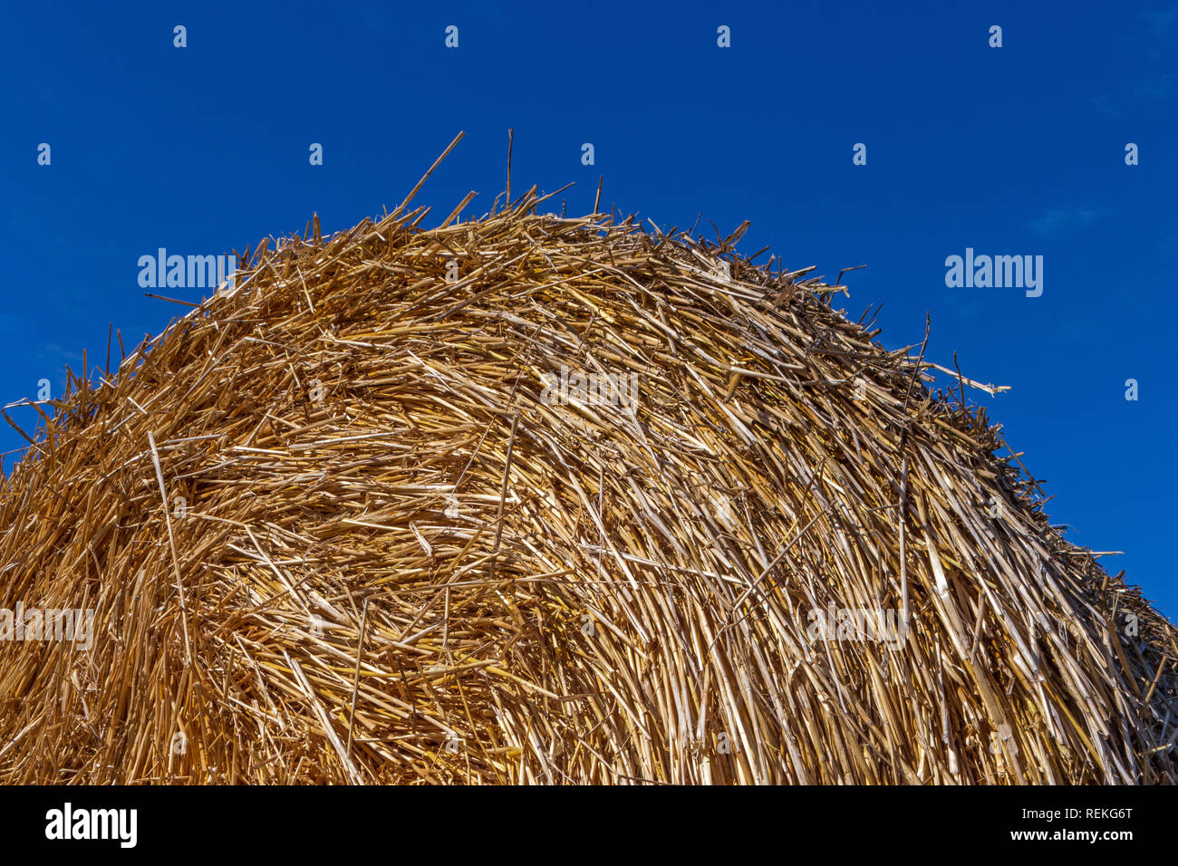 Round stack hi-res stock photography and images - Alamy