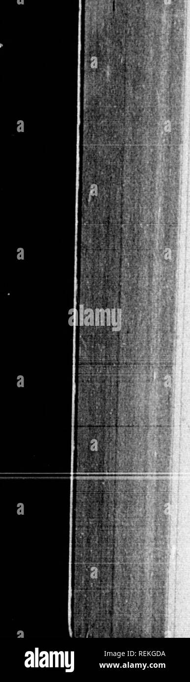 Total produce Black and White Stock Photos & Images - Alamy