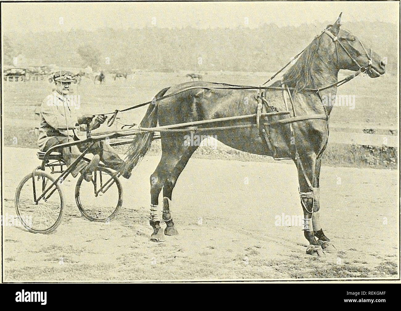 . The driving clubs of greater Boston ... Horse racing; Horses. DEHESIA ...