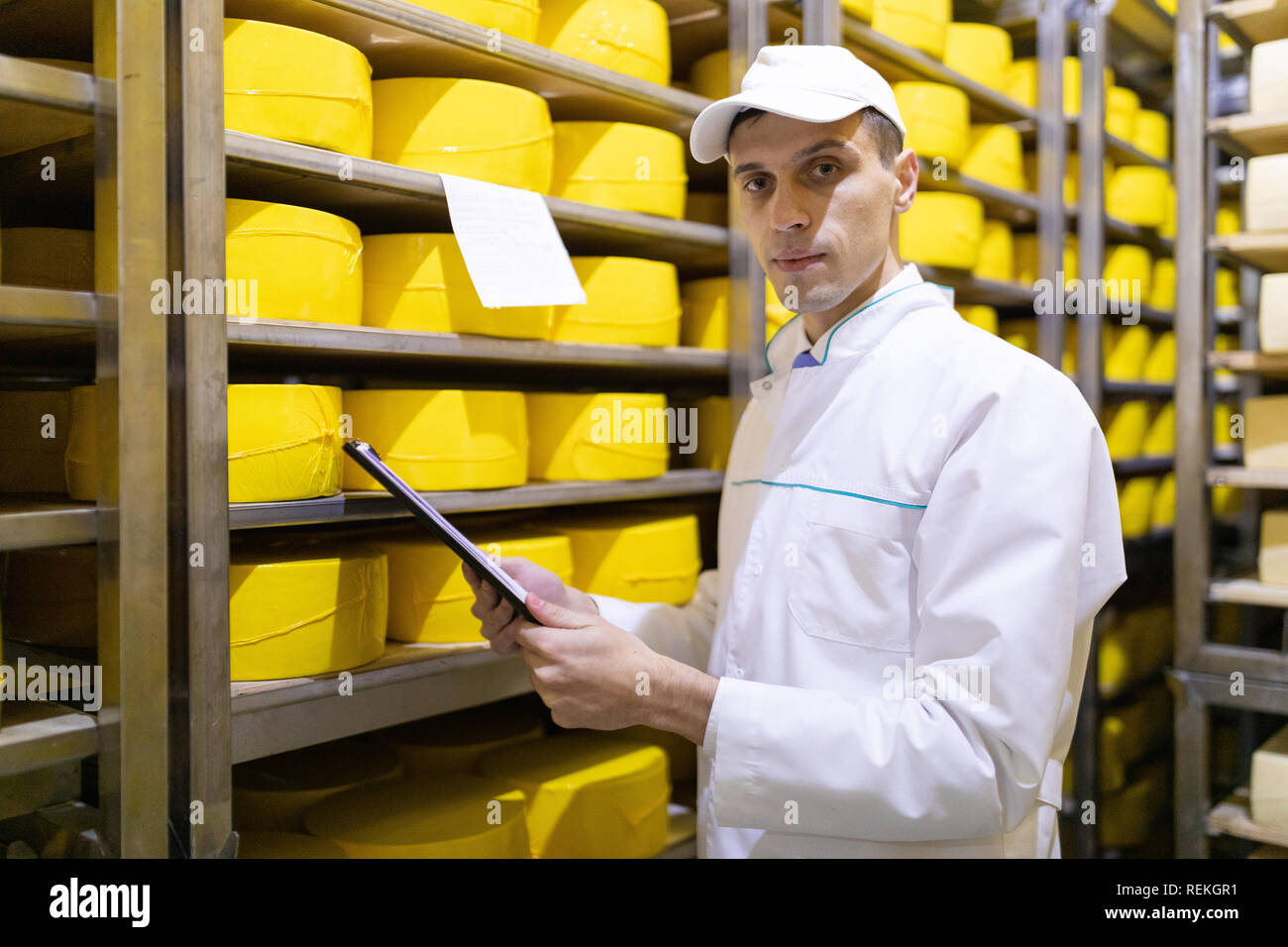 Health Inspector Sheets