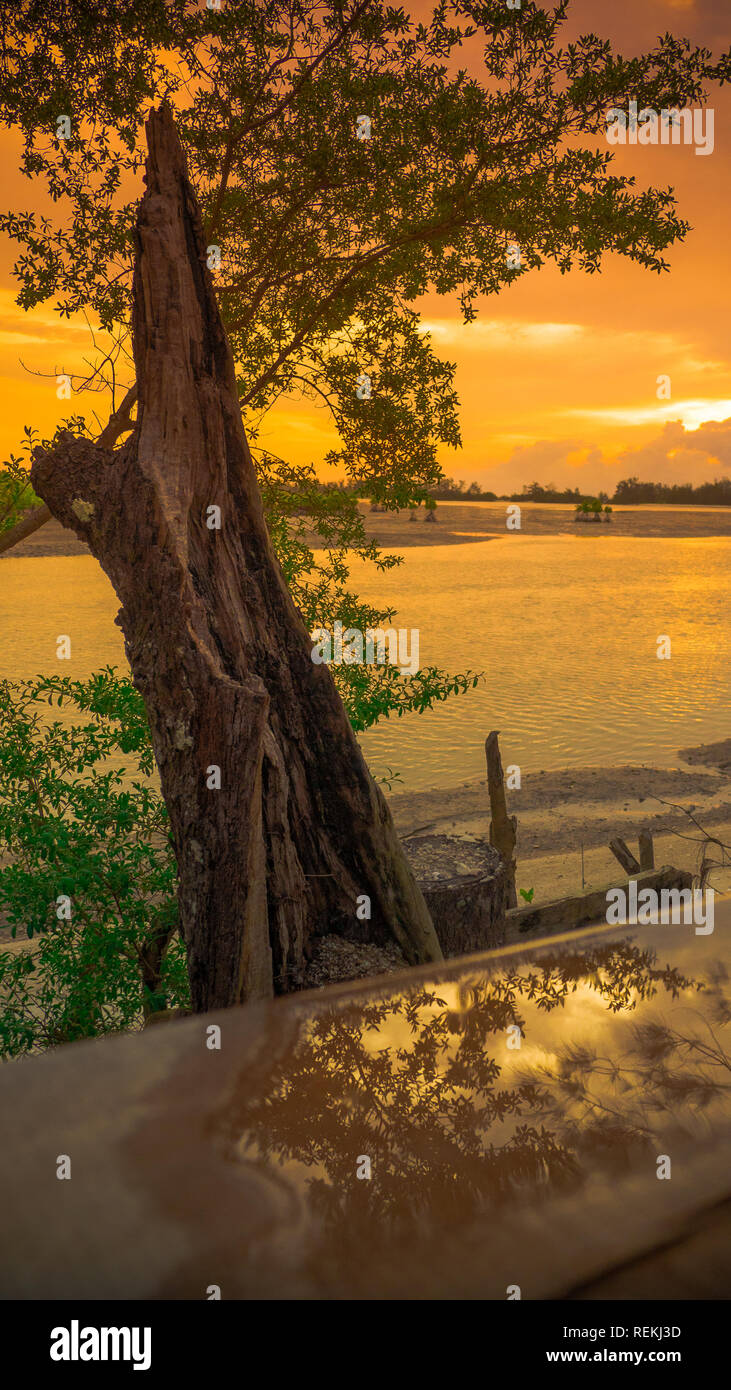 Aspect ratio vertical hi-res stock photography and images - Alamy