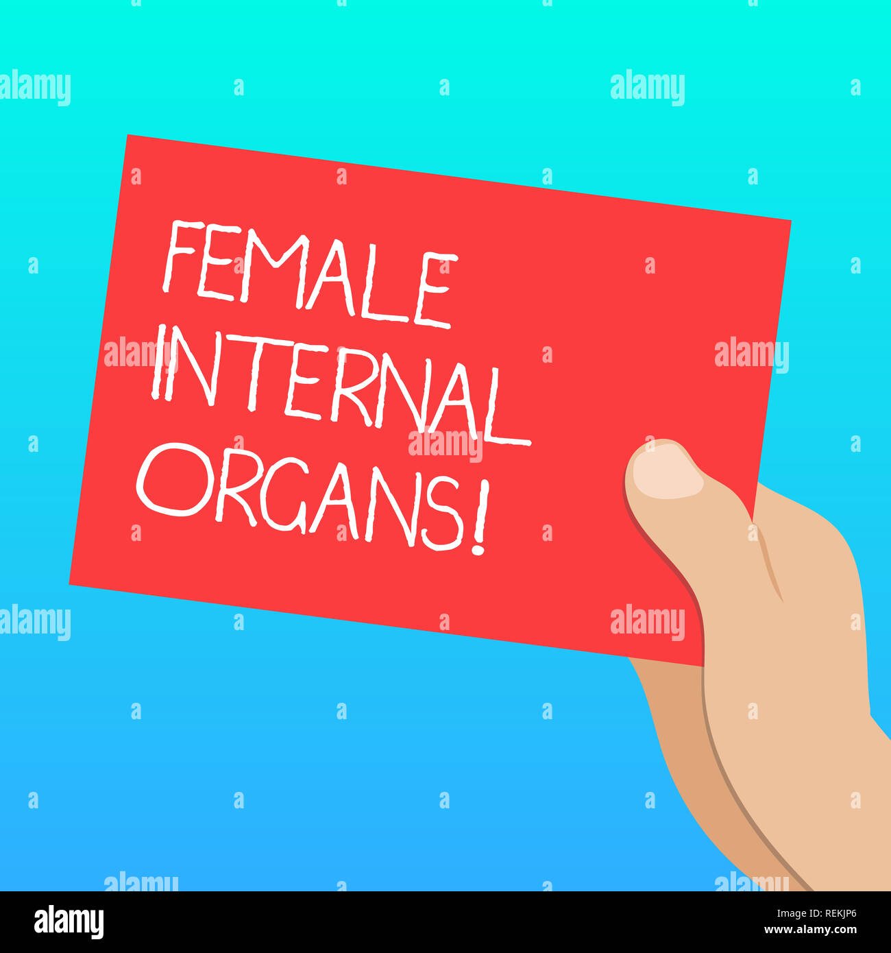 Handwriting text Female Internal Organs. Concept meaning The internal ...