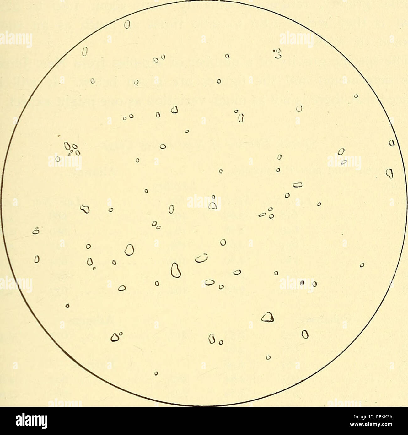 Porous qualities hi-res stock photography and images - Alamy