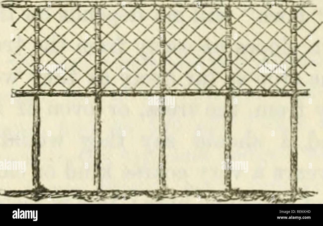 Lewing hi-res stock photography and images - Alamy