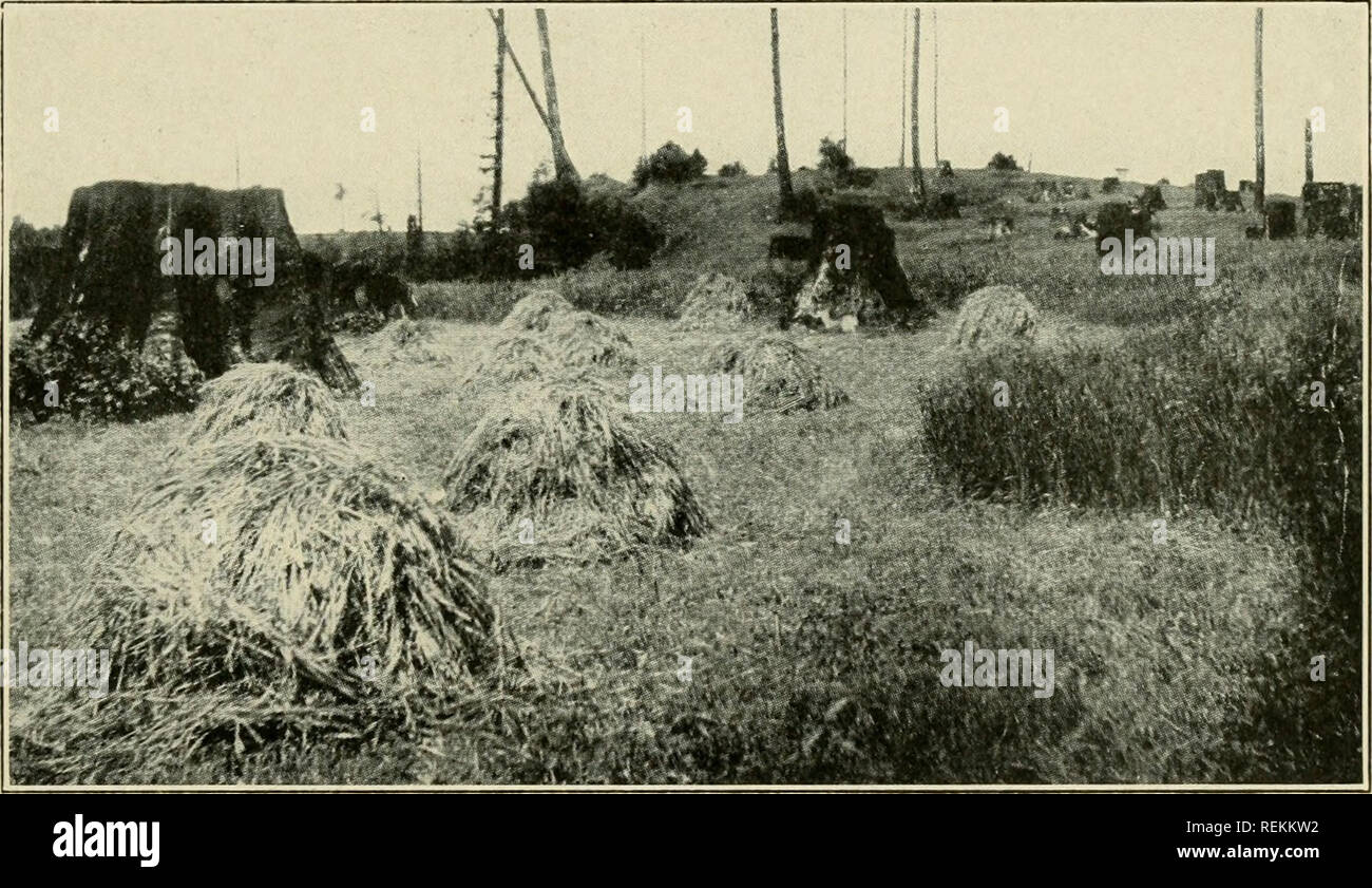 . Clearing land of stumps. Clearing of land; Explosives in agriculture ...