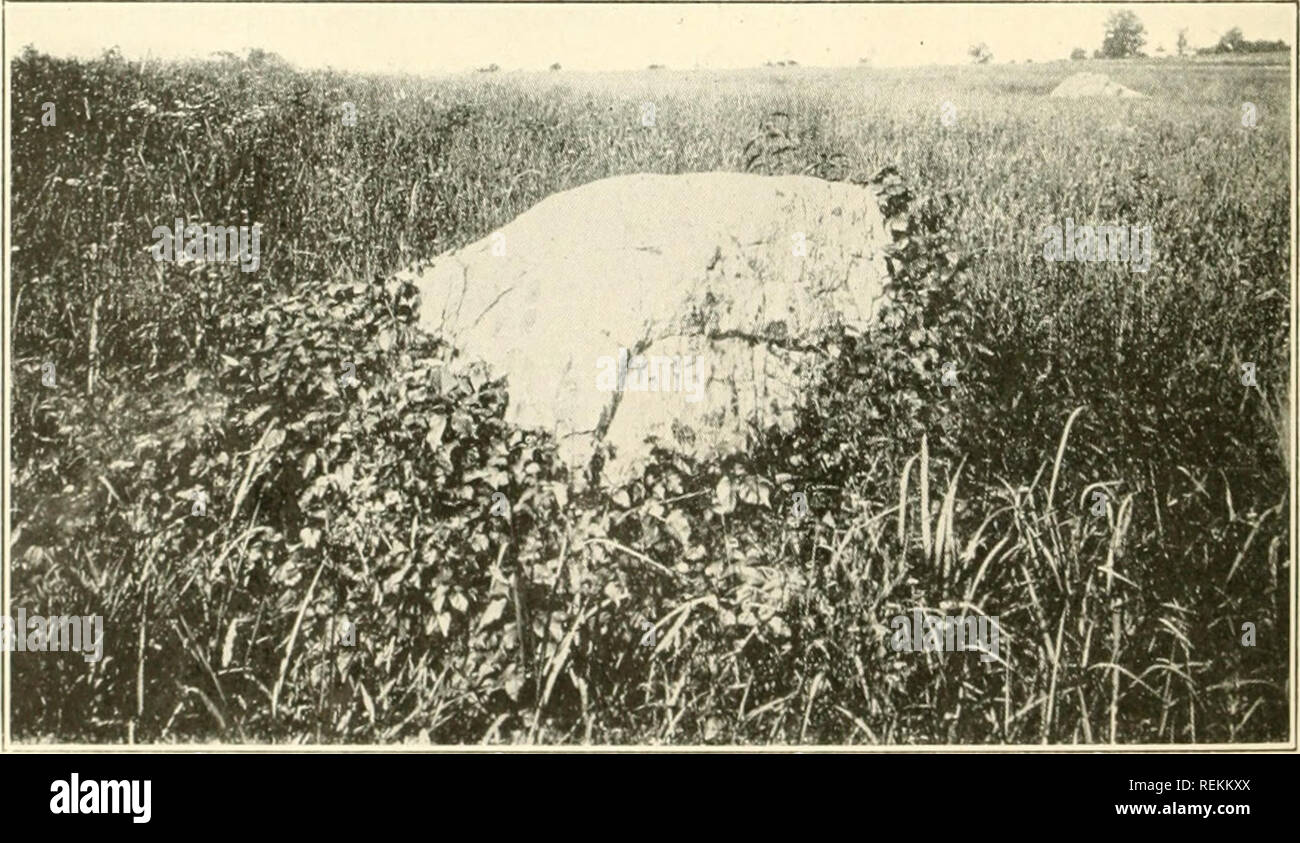 . Clearing land of rocks for agricultural and other purposes ...