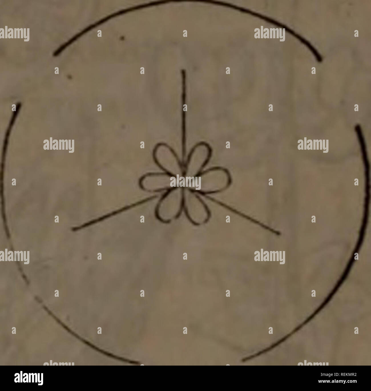 Septicidal hi-res stock photography and images - Alamy