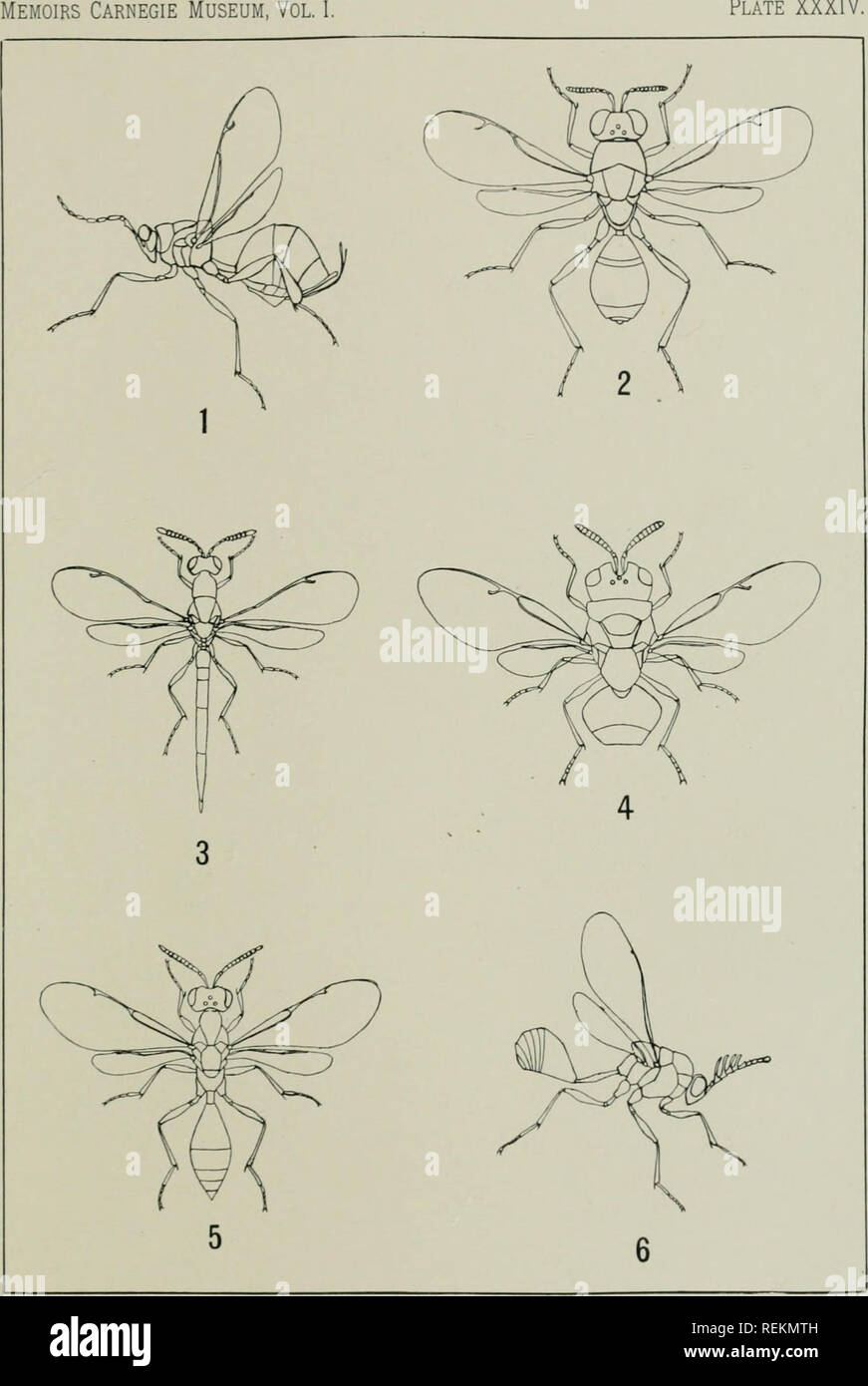 Herbert H Smith High Resolution Stock Photography and Images - Alamy