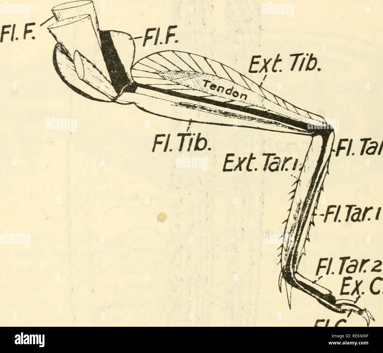 Connects tubes hi-res stock photography and images - Alamy