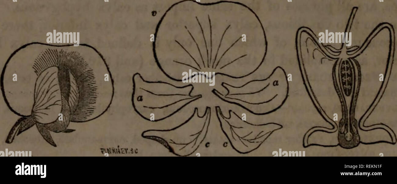 Five pe class hi-res stock photography and images - Alamy