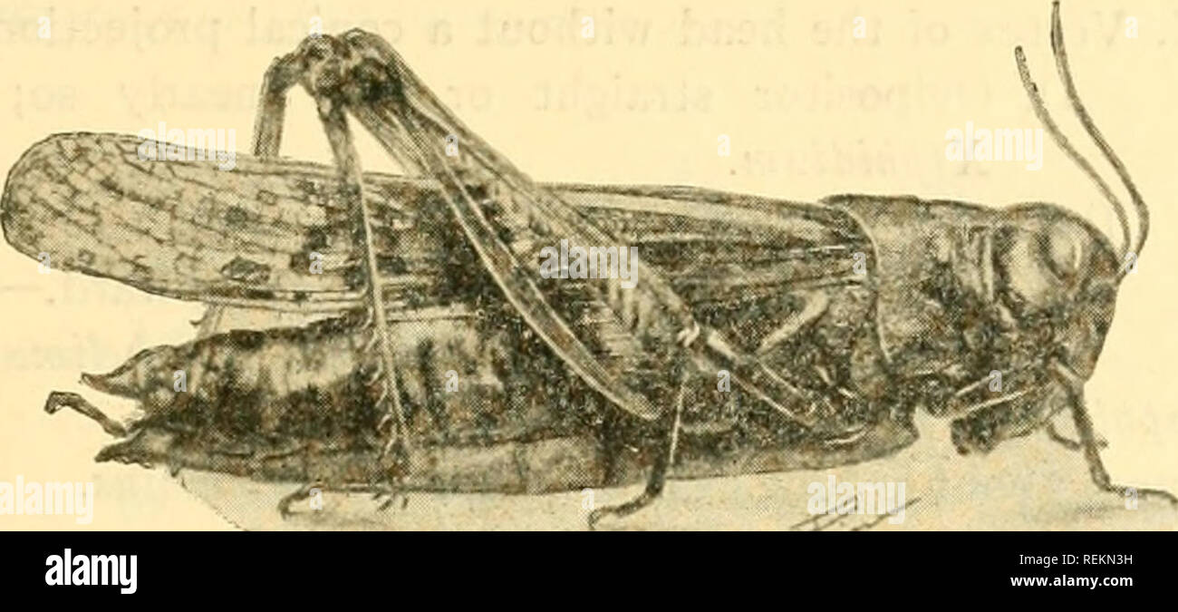 Serious spines hi-res stock photography and images - Alamy