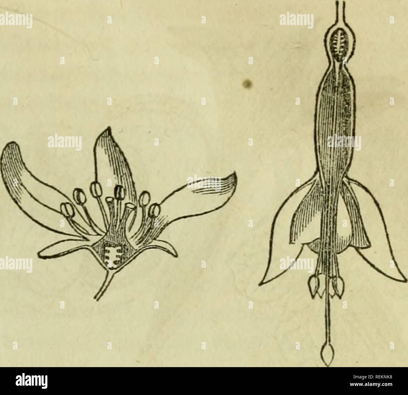 Receptac hi-res stock photography and images - Alamy