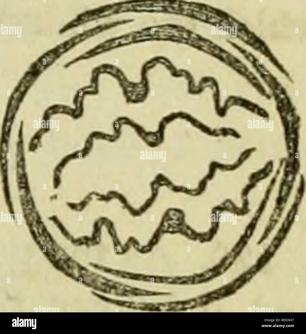 Astraddle hi-res stock photography and images - Alamy