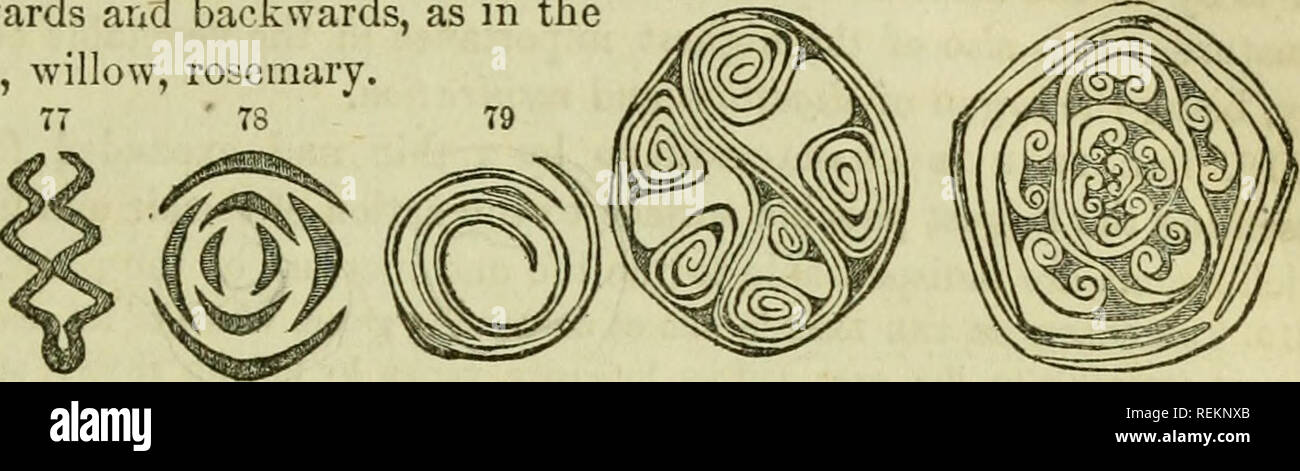 . Class-book of botany: being outlines of the structure, physiology and ...