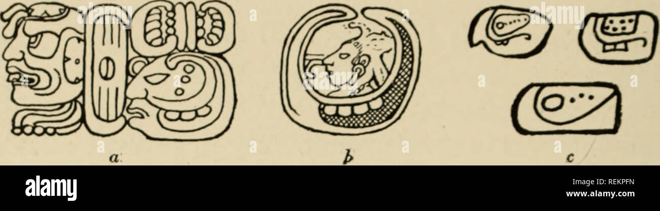 Mayan glyphs book hi-res stock photography and images - Alamy