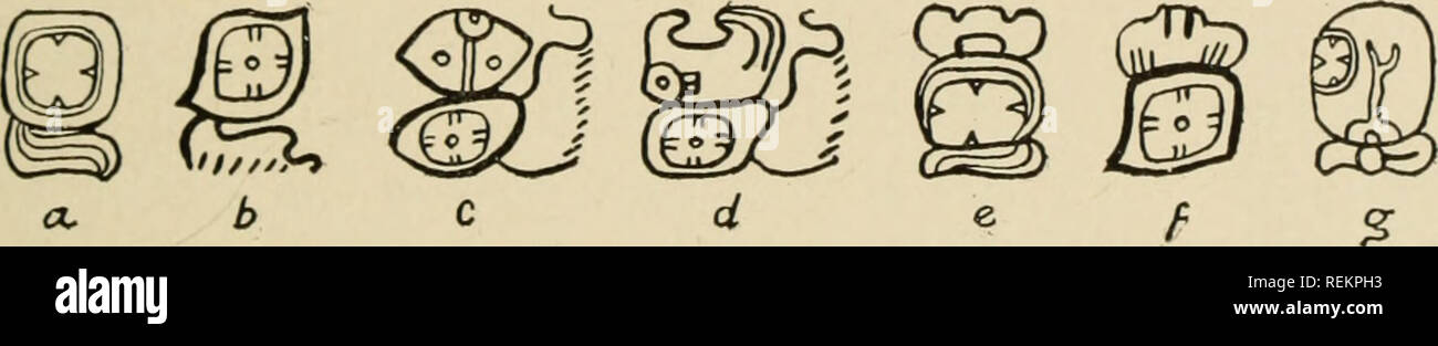 Mayan glyphs book hi-res stock photography and images - Alamy