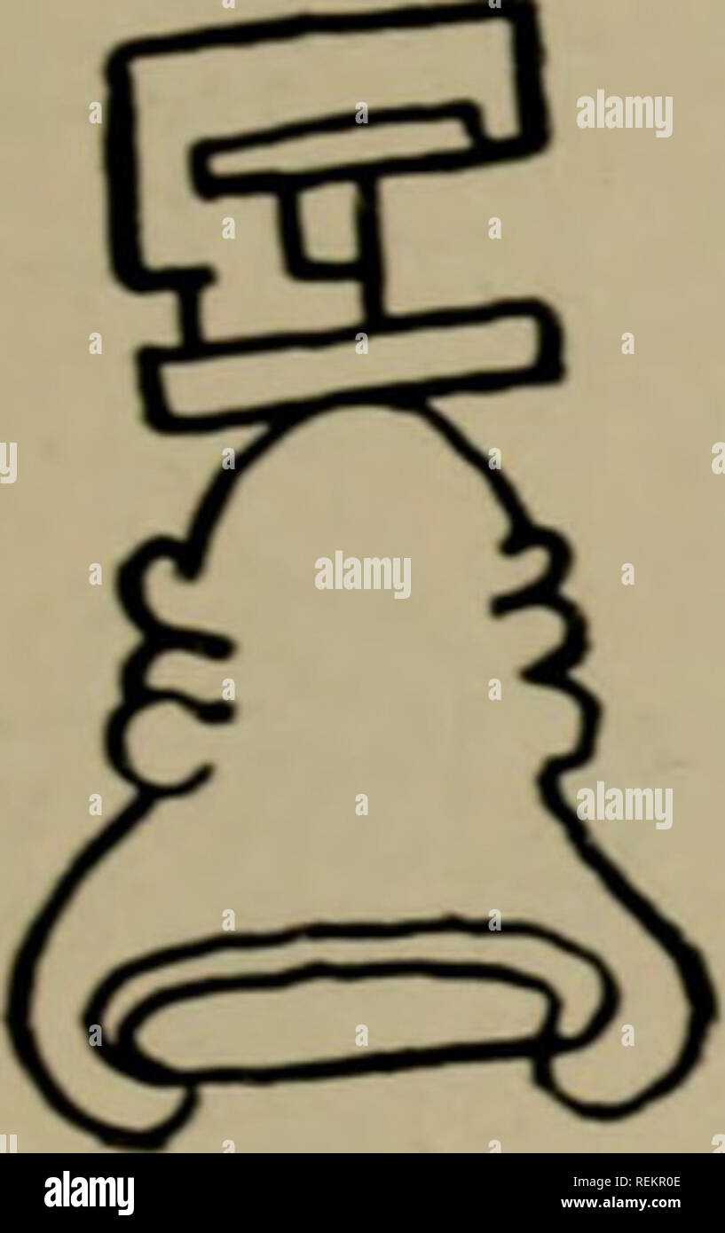 Hieroglyphs with meaning hi-res stock photography and images - Alamy