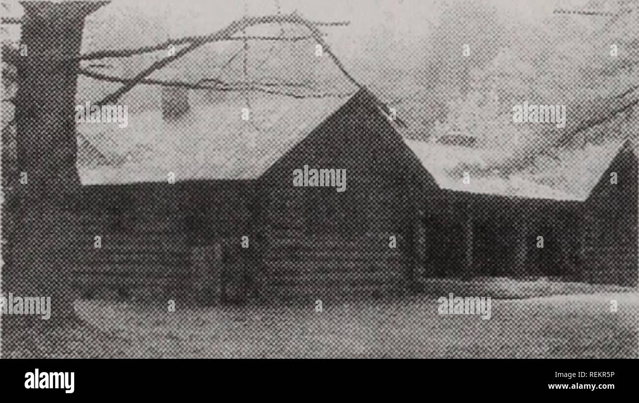 . The Civilian Conservation Corps : shaping the forests and parks of ...