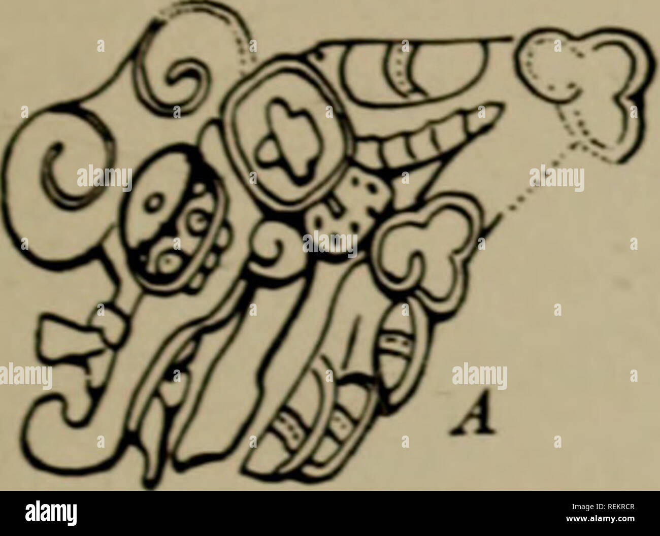 Maya civilization farming hi-res stock photography and images - Alamy