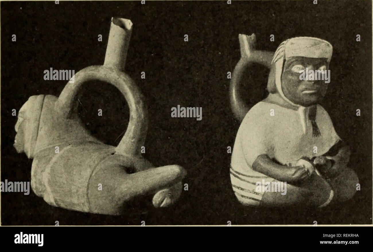 Inca skull operation hi-res stock photography and images - Alamy