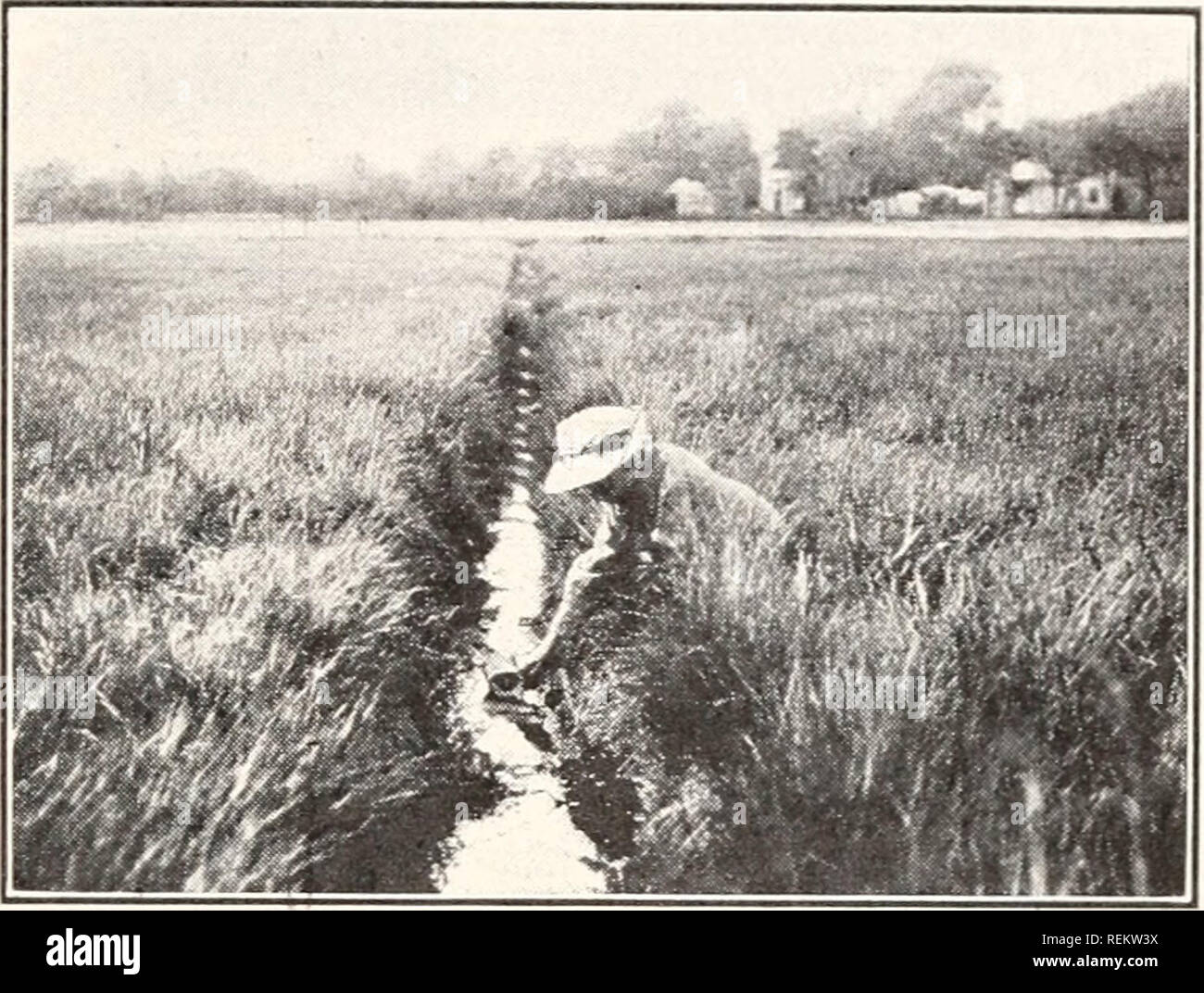 Draining salt marshes hi-res stock photography and images - Alamy