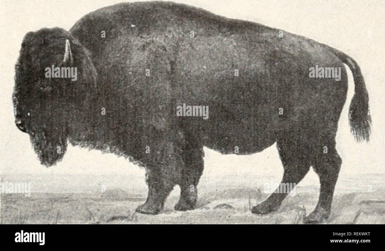 . A civic biology : presented in problems. Biology; Sanitation. 192 ...