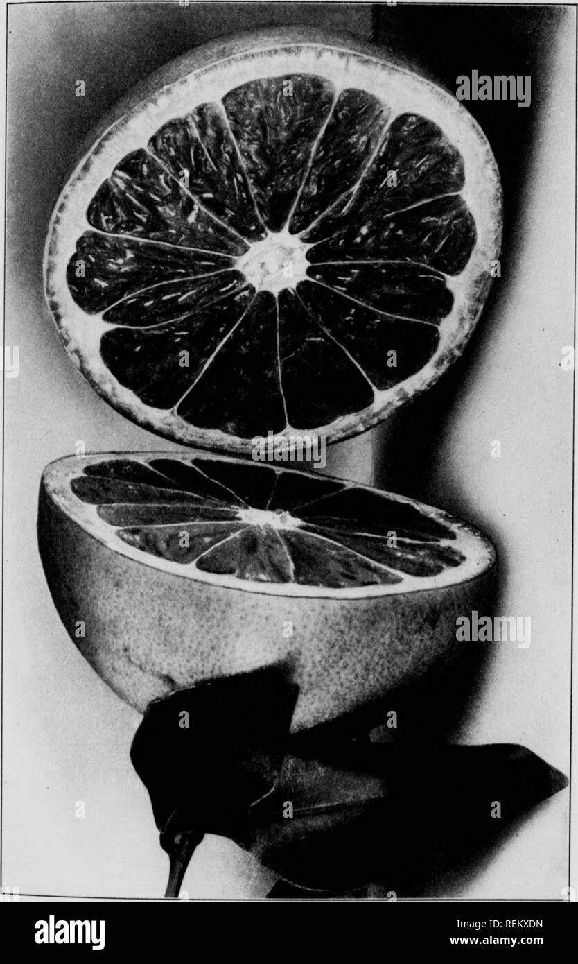 Ripen at home fruit Black and White Stock Photos & Images - Alamy